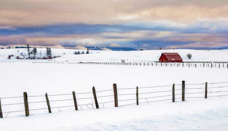 Digital Signatures in Bankruptcy Update | Nebraska Debt & Bankruptcy Blog