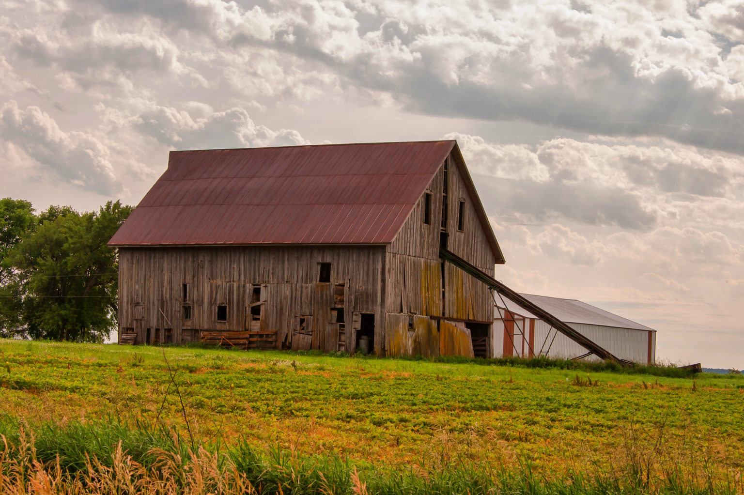 Digital Signatures in Bankruptcy Cases | Nebraska Debt & Bankruptcy Blog
